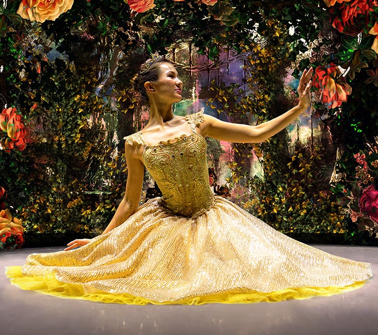 Events | Wharton Center for Performing Arts